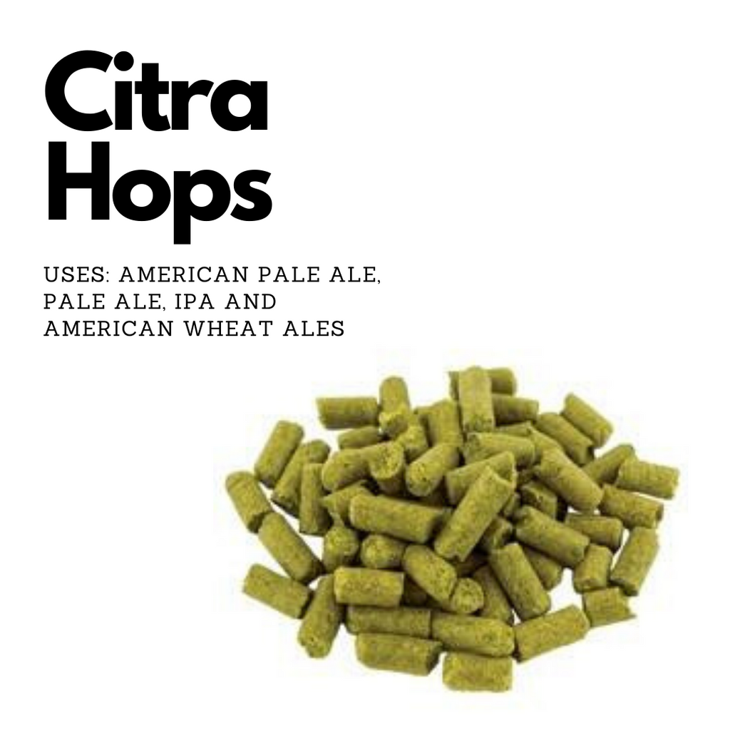Citra Hops – BeerLab Home Brew Supplies