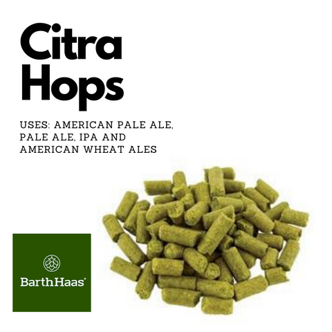 Citra Hops – BeerLab Home Brew Supplies